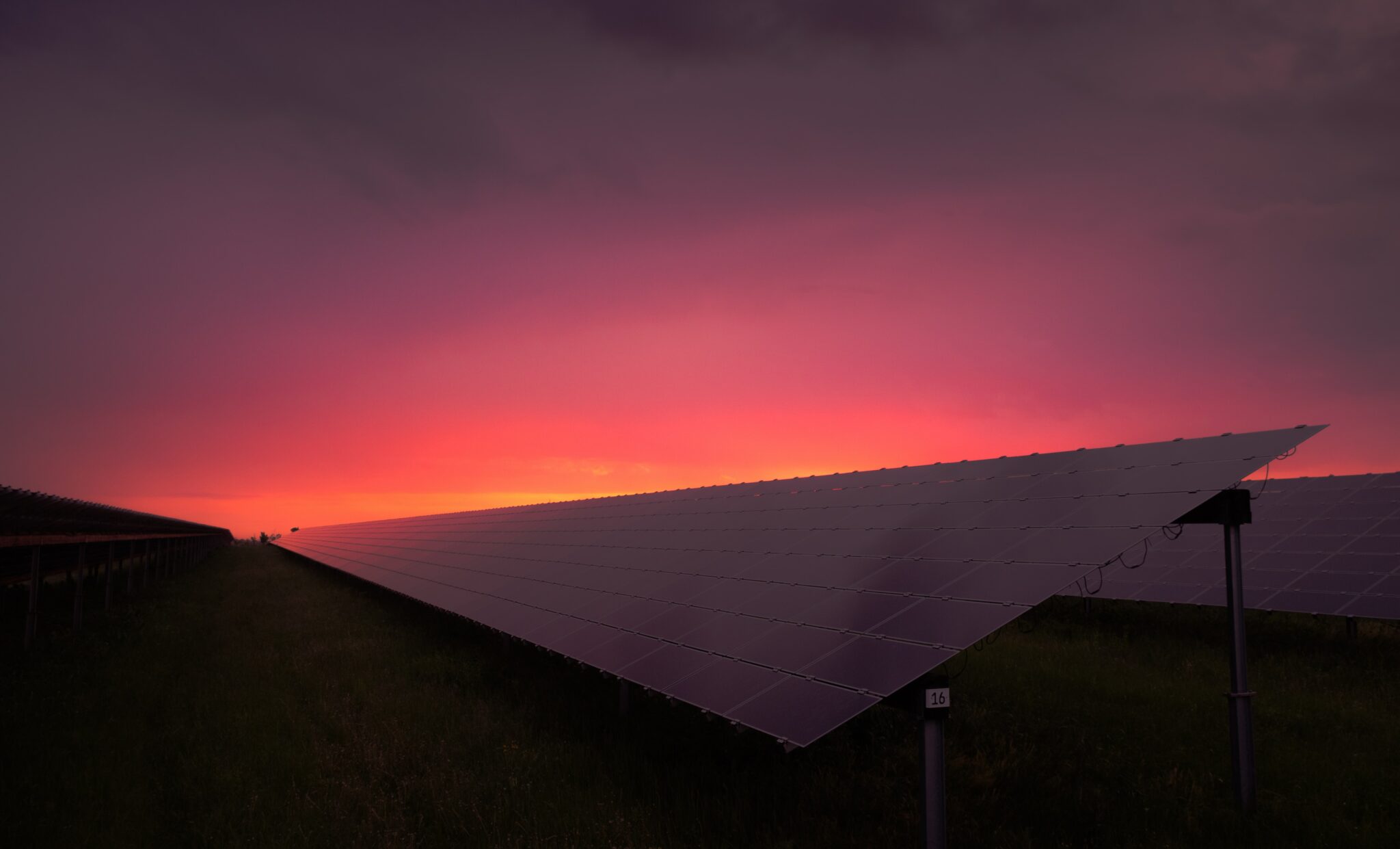 Solar energy farms are big projects that require teams of specialists